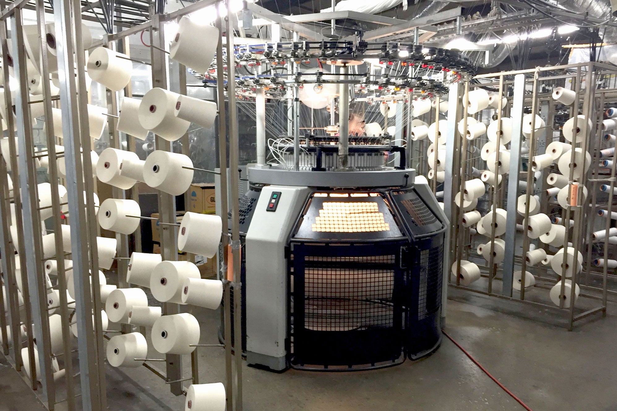 About — Everybody.World